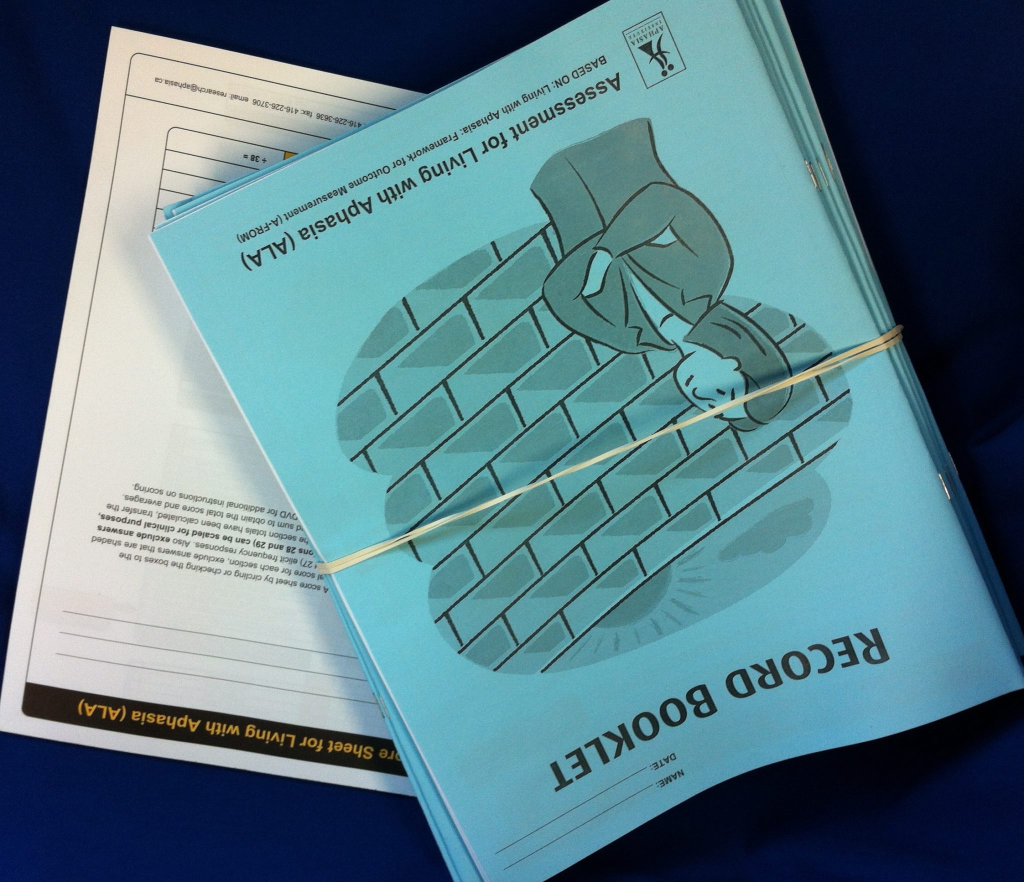 Reorder Kit for Assessment for Living with Aphasia Toolkit (ALA ...